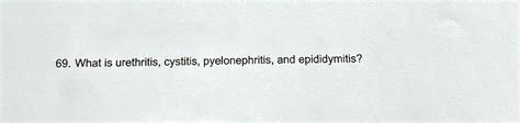 69 What Is Urethritis Cystitis Pyelonephritis And Epididymitis