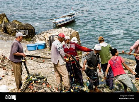 Fishermen Pull Out The Fishing Net In Alexandria Stock Photo Alamy