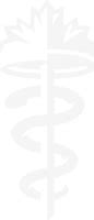 CCN Review
