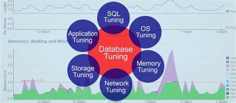 Database Performance Tuning Solution At Best Price In Pune