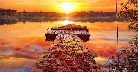 Overly Saturated Fall Pics And Halloween Shenanigans Part 14 Album On Imgur