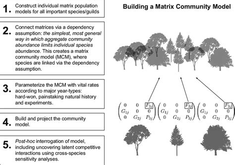Building And Projecting A Matrix Community Model The Right Panel Download Scientific Diagram