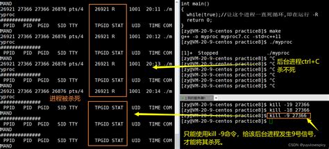 入门篇 Linux操作系统fork子进程的创建以及进程的状态 超超超详解！！！我不允许有人错过！！！linux Fork子进程 Csdn博客