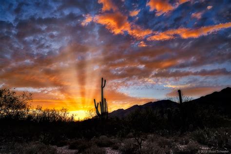Sunset In Sabino Canyon Tucson Retirement Travel Explore America
