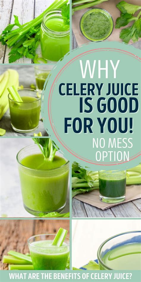 Celery Juice Benefits How To Make Celery Juice Without A Juicer Artofit