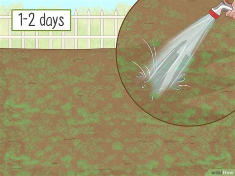 How To Level A Bumpy Lawn 2 Ways To Flatten Your Yard