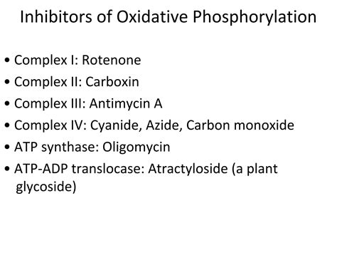 Inhibitors Of Oxidative Phosphorylationppt Ppt