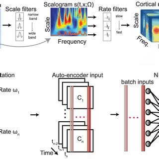 PDF Segregating Complex Sound Sources Through Temporal Coherence