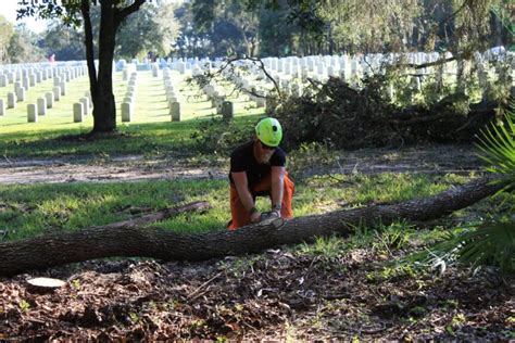 Before And After Transforming Your Landscape With Tree Removal