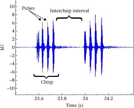 A Waveform Showing The Temporal Structure Of Approximately 1 S Of Download Scientific Diagram