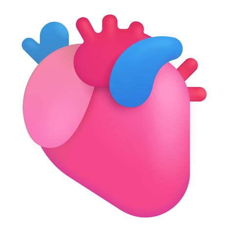 Anatomical Heart 3d Icon Fluentui Emoji 3d Iconpack Microsoft