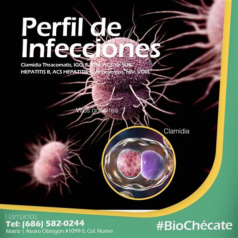 Las Pruebas O Exámenes Para Detectar Bio Reference Lab