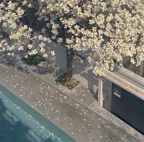 Centos 7 离线安装 Mysql 知乎