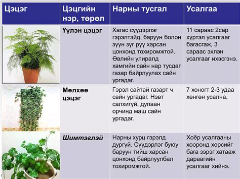 ЦЭЦГИЙН ТАЛААРХ СУДАЛГАА Pptx