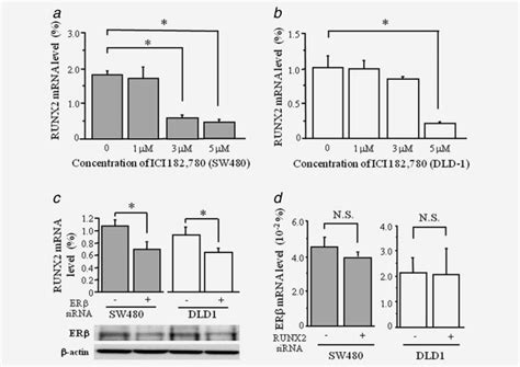 regulation of runx2 expression in colon carcinoma cells a and d