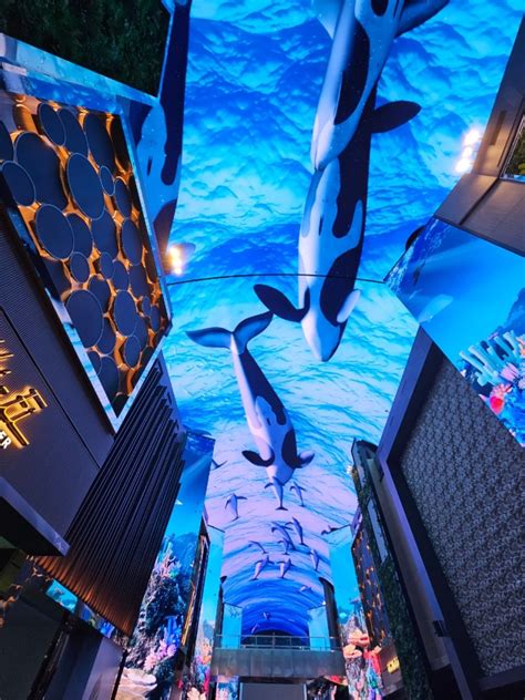 영종도 인스파이어 아레나 고래 시간 주차 꿀팁 근처 식당 추천 네이버 블로그