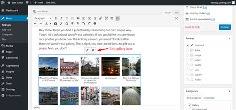 How To Create An Image Gallery In WordPress Beginners Guide