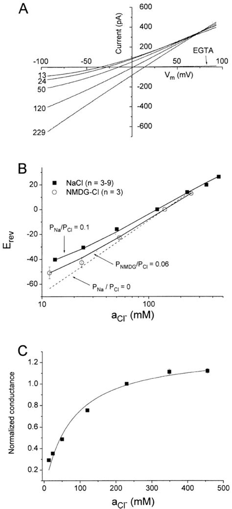 Sodium Permeability And Cl Affinity Of Iclca An Inside Out Excised
