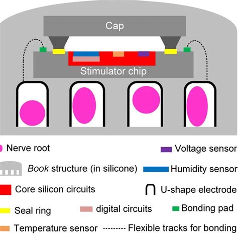 Transistor Sizing And Layout For The 6t Sram Cell Download