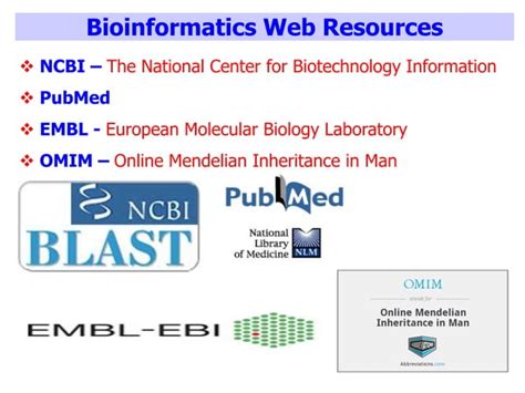 41 Introduction To Bioinformatics Ppt