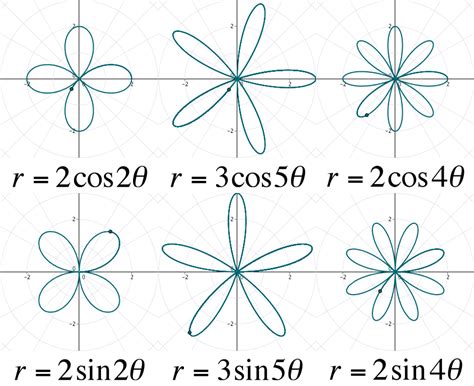 What Is The Graph Of R A Cos 4theta Socratic