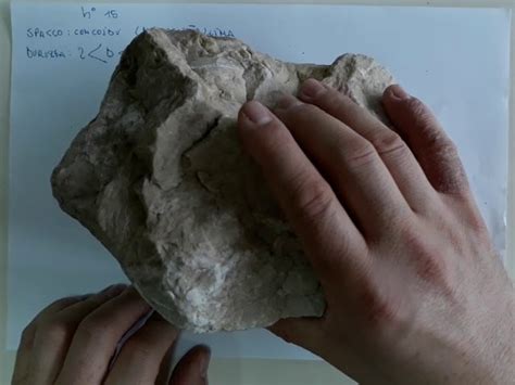 Siltite Roccia Sedimentaria