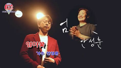 안성훈 엄마꽃 Youtube