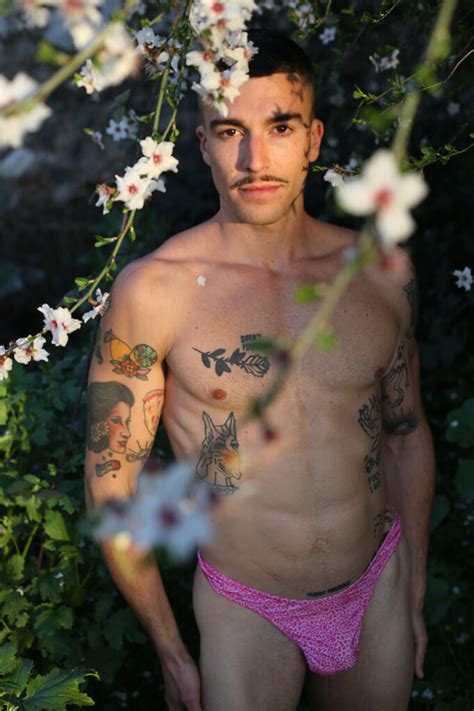 Mecs Virils 230 Photo 61