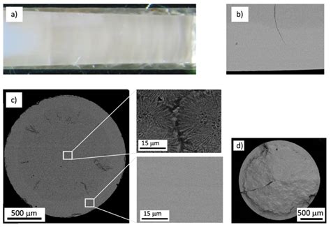 Optical Image Of A Longitudinal Section Of A Glazed Eutectic Rod A