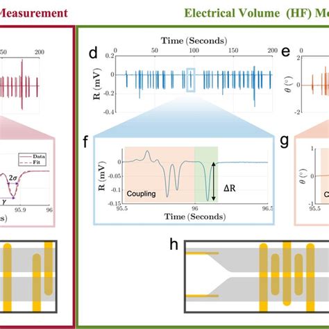 A Time Domain Data Of Low Frequency Lf Measurement In A Typical Download Scientific Diagram