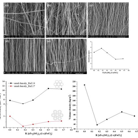 Sem Images And Areal And Volume Density Of The Carbon Nanotube Cnt Download Scientific