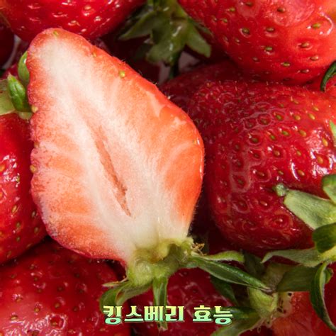 킹스베리 딸기 효능 부작용