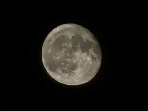 Vivo X80 Pro Review Portrait Powerhouse Stuff