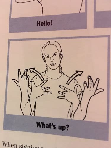 Master ASL Level One Unit 1 Flashcards Quizlet Master ASL Level One Unit 1 Flashcards Quizlet