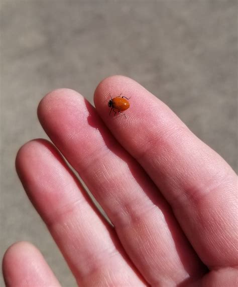 Lam Research On Linkedin Our Tualatin Staff Recently Held An Early