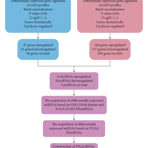 Flowchart For Bioinformatics Analysis Of This Study Download Scientific Diagram