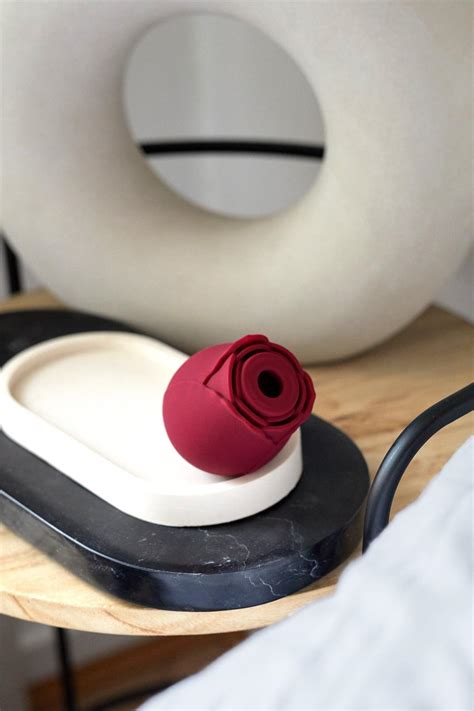 Rechargeable 10 Function Sucker Rose Sex Toy Nasty Gal