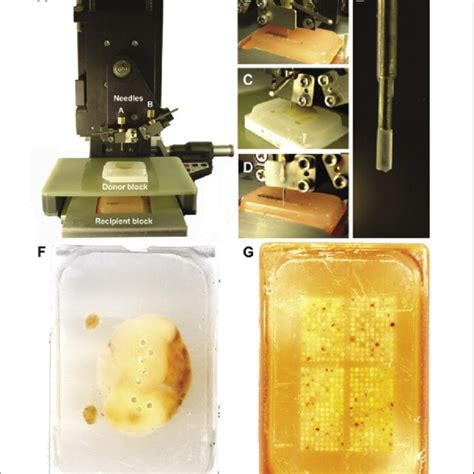 Tissue Microarray Tma Manufacturing A Arraying Device A And B