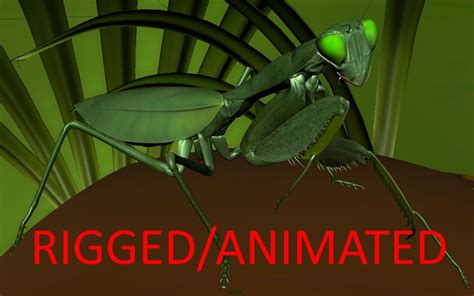Mantis X Animation