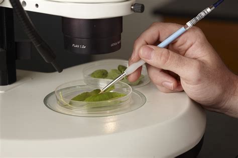 Legacy Resource Database Older Than 2020 Almond Learning Hub