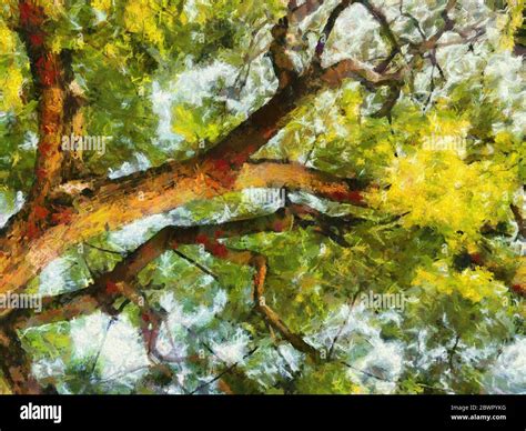 Perennial Trees With Large Green Shrubs Illustrations Creates An Impressionist Style Of Painting