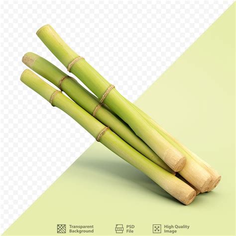 투명한 배경에 클리핑 패스를 사용하여 격리된 사탕수수 프리미엄 Psd 파일