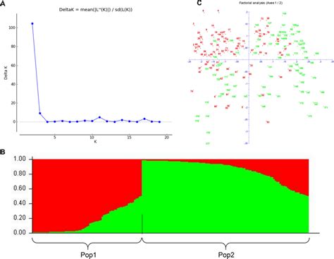 Results Of Population Structure Analysis Based On Molecular Markers