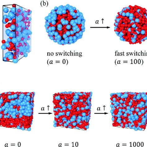 Snapshots Of Brownian Dynamics Simulation A System M1 Confined Download Scientific Diagram