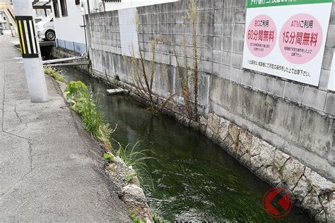 3年で転落死79人の岡山「人食い用水路」 事故多発理由や対策例を岡山市に直撃！（くるまのニュース） 自動車情報・ニュース Carview