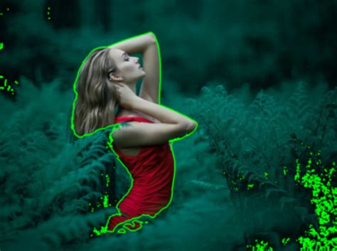 Contours And Hierarchy With Opencv Freedomvc