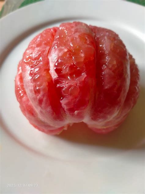 🤗 လားရှိုးကပါရှင် 🍠 လက်ကျန်ဖြတ်မှာမို့ စျေးနှုန်းလေးတွေ ချထားပေးပါတယ် 👇အသင့်ရှိ 👇 🛵 ခုမှာခုရ မ