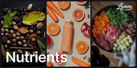Nutrients Images — Free Hd Download On Lummi