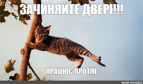 Мем ЗАЧИНЯЙТЕ ДВЕРІ ПРАЦЮЄ ПРОТЯГ Все шаблоны Meme