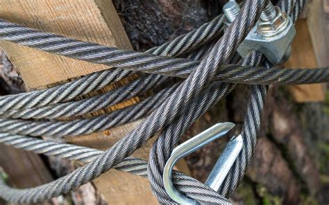 A Guide To Strengthening Trees With Cabling And Bracing